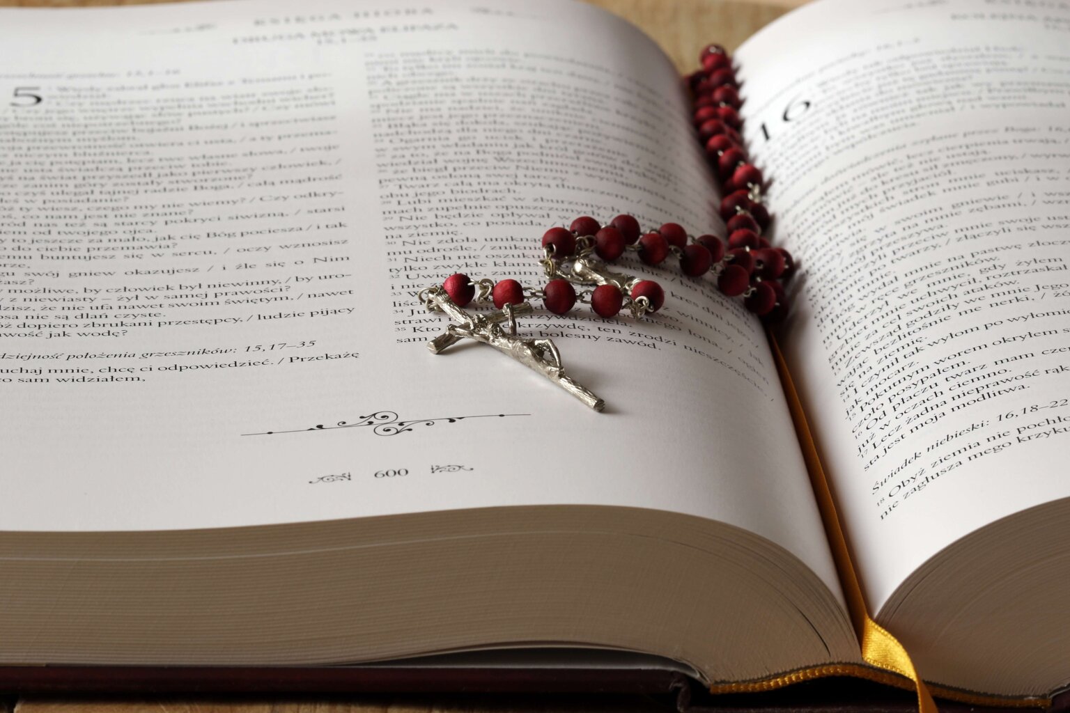 Religious Studies - Elms College