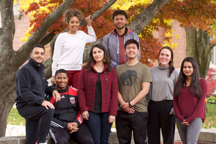 Transition from Anna Maria College to Elms College | Transfer Support ...