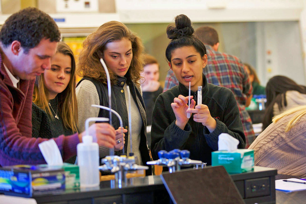 MS in Biomedical Sciences (BMS) - Elms College